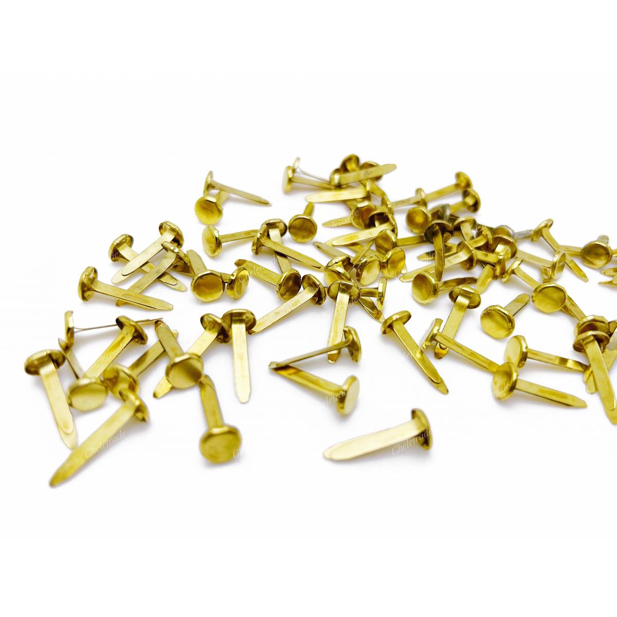 Brass Round Head Paper Fastener 1 Inch